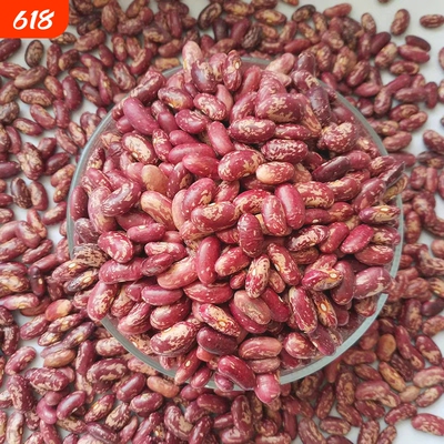 花芸豆新货农家饭豆五谷杂粮