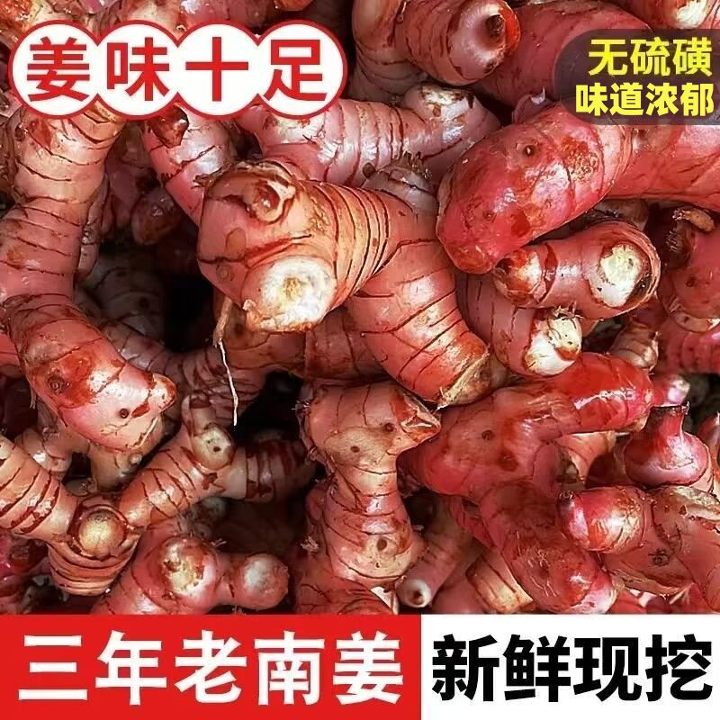 正宗潮汕南姜新鲜山姜良姜红皮白现挖生姜老姜日食用野生整箱优选