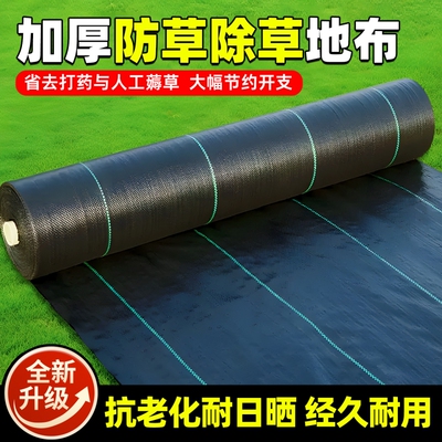防草布耐用遮草布果园果树专用地膜地布厂家直销农用除草大棚种植