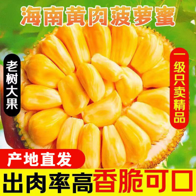 正宗海南菠萝蜜一整个新鲜水果包邮当季三亚干苞黄肉波罗密整箱