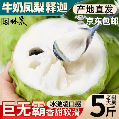 新鲜凤梨牛奶释迦果5斤大目释迦尼佛头果冰淇淋番荔枝特大果现摘
