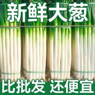 新鲜大葱铁杆长葱正宗山东香葱头当季蔬菜去半叶带皮直供