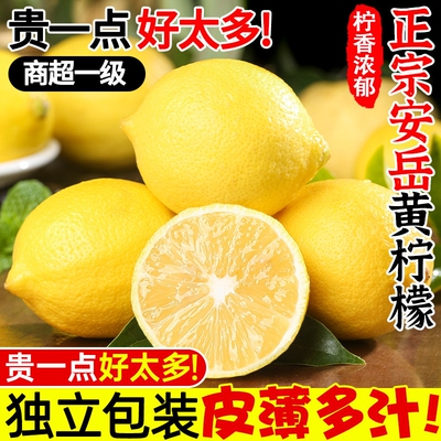 安岳黄柠檬新鲜柠檬一级海南柠檬奶茶店专用小青柠绿柠檬腌制水果