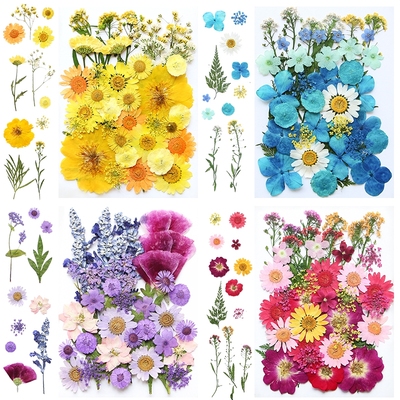 DIY滴胶永生花|超3.4万次加购