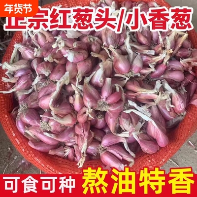 饱满红葱头0.5斤|超2000次加购