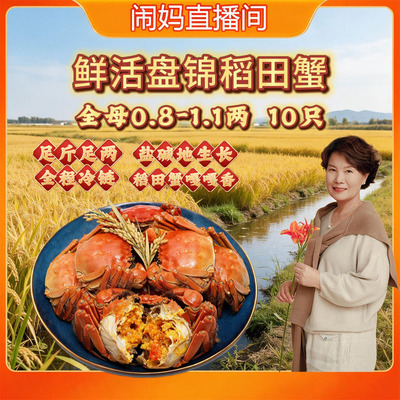 闹妈正宗盘锦河蟹稻田蟹鲜活大闸蟹黄满膏肥螃蟹礼盒装水产活蟹