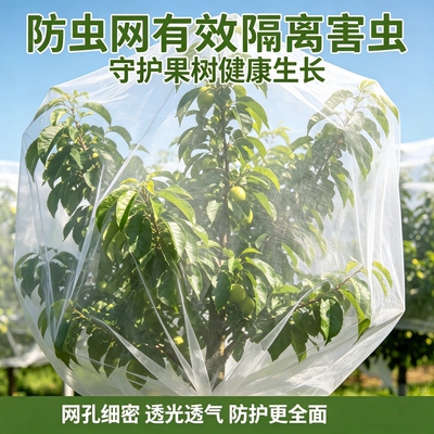 果园果树防虫透气透光网罩加厚网