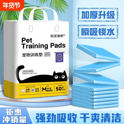 宠物尿垫除臭防漏超大加厚款