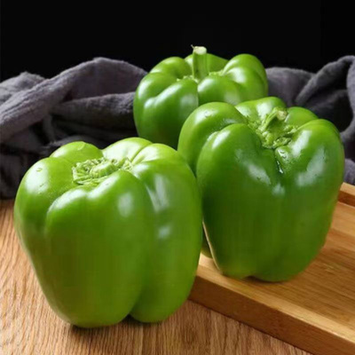 新鲜太空椒不辣柿子椒青椒圆椒新鲜时令蔬菜