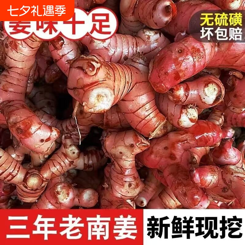 正宗广东红皮老南姜新鲜现挖生姜应季提味调料野山姜潮汕特产批发