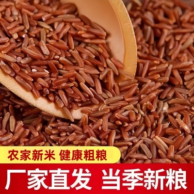 红香米新米五斤装五谷杂粮吃的红米粳米红香米红血稻糙米红糙米