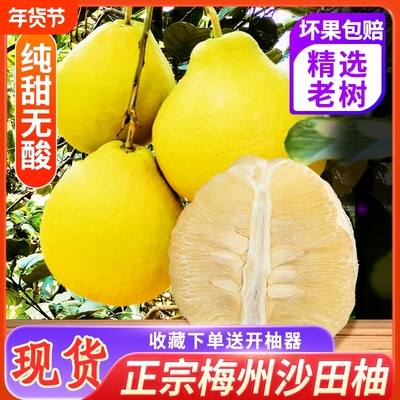 【纯甜】正宗梅州沙田柚子广东金柚白心肉孕妇当季新鲜水果非容县