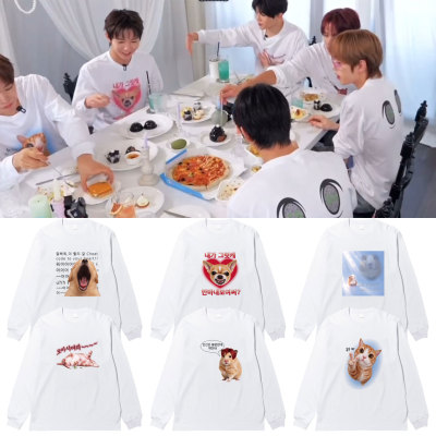 NCTWISH团综痛衣可爱小动物印花周边自制衣服同款螺纹长袖T恤纯棉