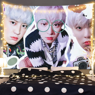 EXO朴灿烈Chanyeol灿灿明星应援宿舍装饰背景布挂布挂毯来图定制