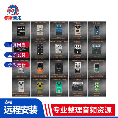 22款DPEPedals吉他ToneX箱头IR