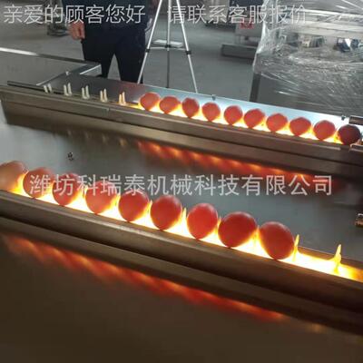 皮蛋鸡清洗机 小型蛋卤灰包蛋洗机JFD 鸡蛋蛋清洗烘干全套流水蛋