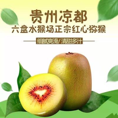 水城红心猕猴桃贵州六盘水特产水城猴场奇异果猴场红心猕猴桃