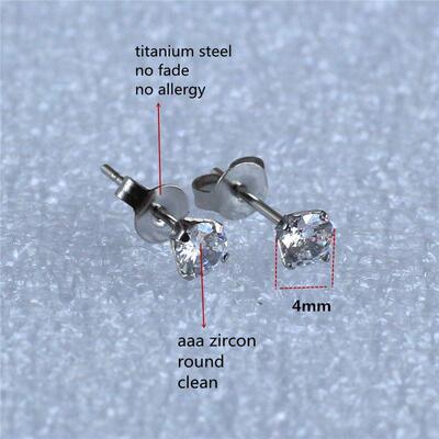 Titanium With 4mm Clean Zircon Round Stud Earrings 16L Stai
