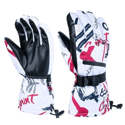 Snow Ski Gloves Waterproof & Windproof Winter Gloves