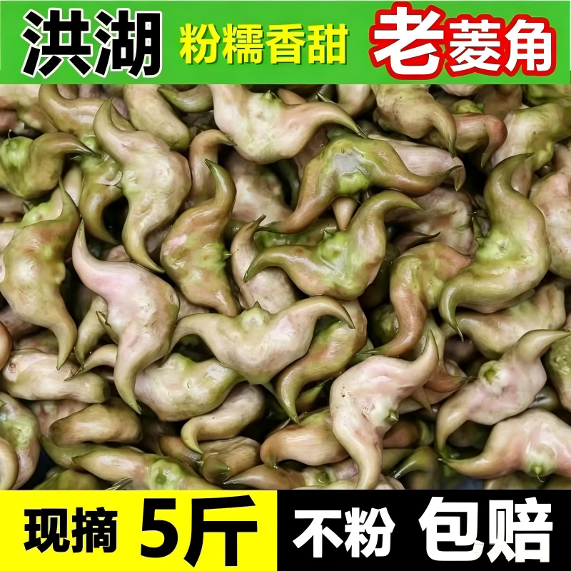 洪湖老菱角新鲜生棱角湖北特产现摘粉糯黑菱角嫩凌角大菱角米蔬菜