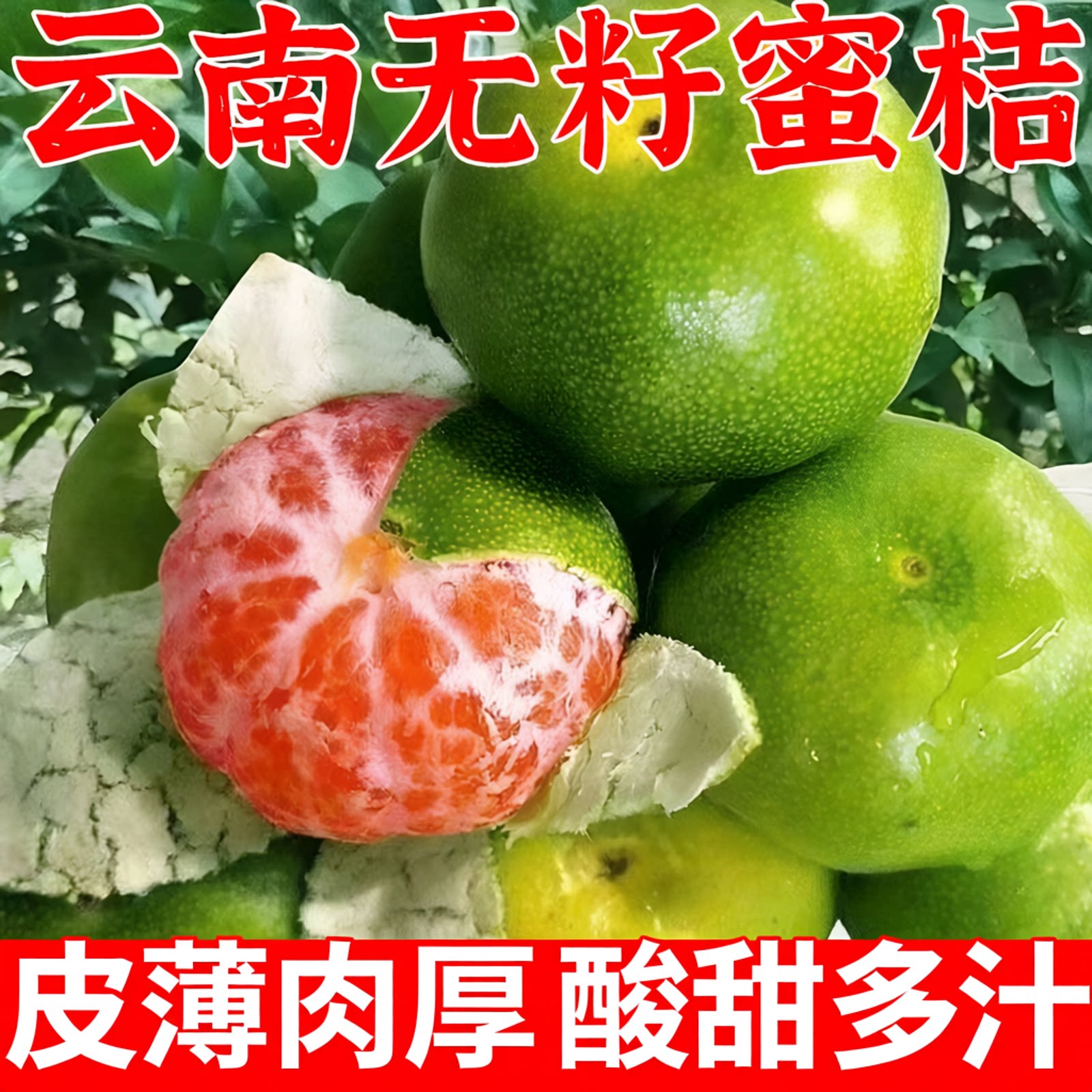 云南蜜橘桔子9斤早熟无籽新鲜橘子孕妇水果整箱包邮当季青皮柑橘