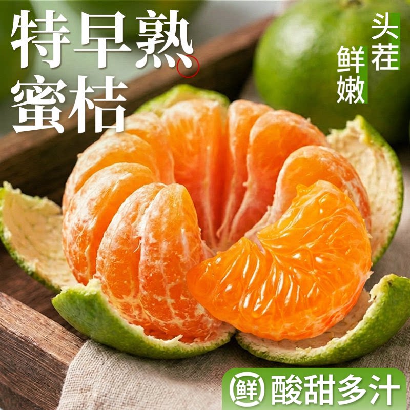 云南蜜橘桔子9斤早熟无籽新鲜橘子孕妇水果整箱包邮当季青皮柑橘