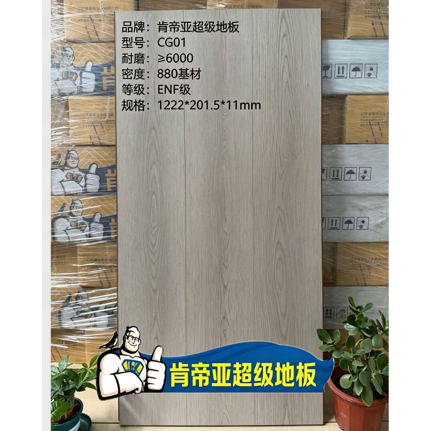 肯帝亚超级地板晨光系列强化复合地板0甲醛超轻家用地板