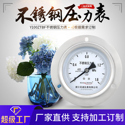 Y100ZTBF轴向带边威卡款式可冲油