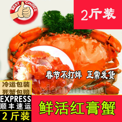 青蟹肉蟹母蟹青蟹红膏蟹特价