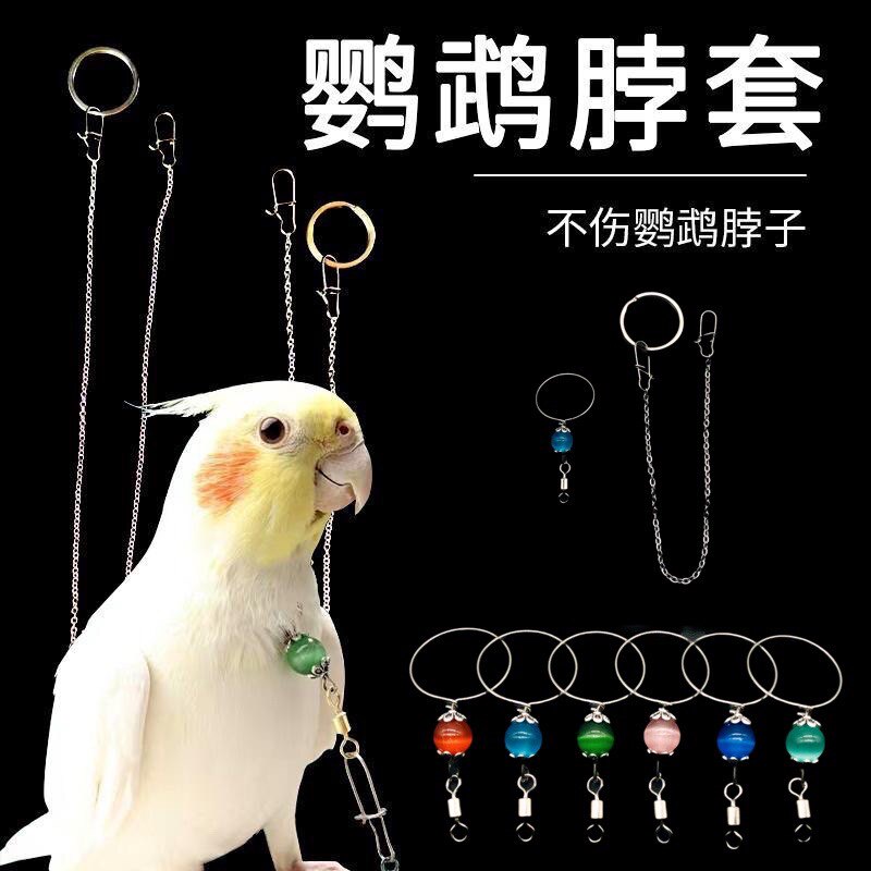鹦鹉脖套不锈钢脚链玄凤牡丹虎皮小太栓鸟链遛鸟放飞训练脖圈链子