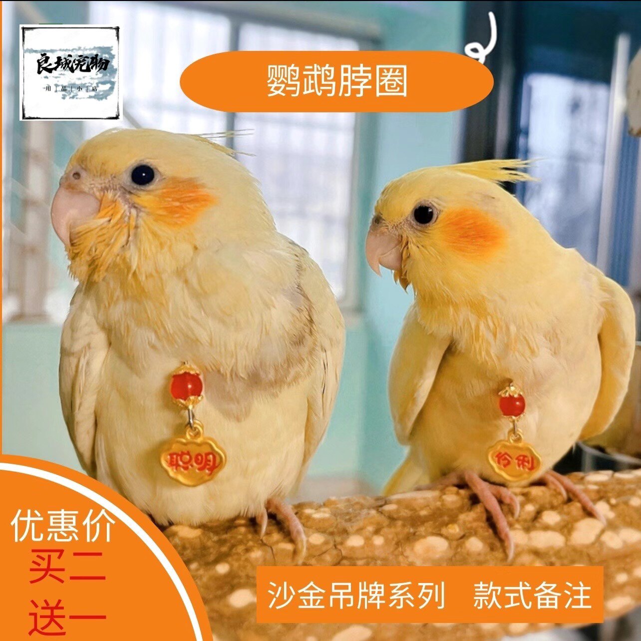 鹦鹉脖套圈玄凤牡丹虎皮小太等不锈钢材质遛鸟放飞训练站架链子绳