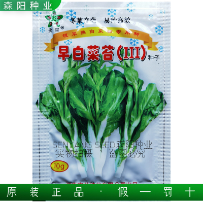 小神龙炎星早白菜苔极早熟白菜苔