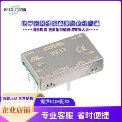 SUCS30515C-C[电源模块DC DC CONVERTER 15V 3W]