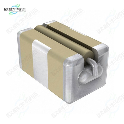 SBSGP0500224MXT[滤波器FILTER LC(PI) 0.22UF SMD]