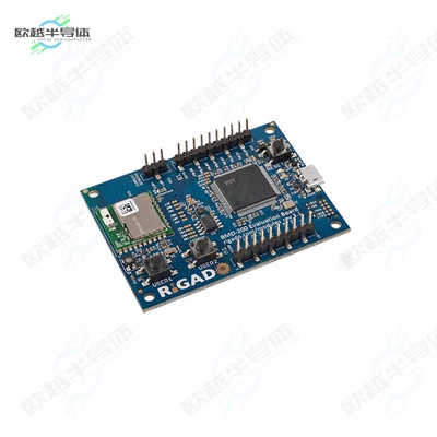 BMD-200-EVAL-S[开发板EVAL KIT SEGGER JLINK-OB PROGRAM】