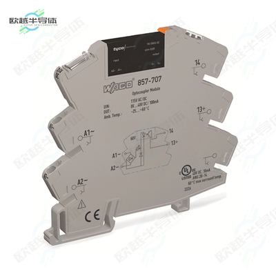 857-707[继电器SSR RELAY SPST-NO 100MA 0-48V]