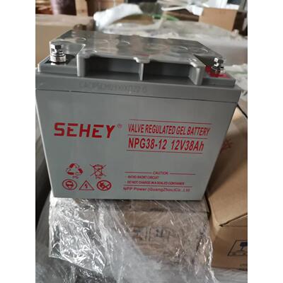 西力蓄电池NPG38-12UPS直流屏EPS太阳能电池12V38AH