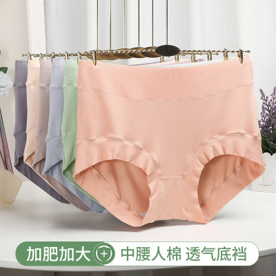 女士莫代尔加大码加肥中高腰内裤人棉纯棉抗菌裆部三角裤