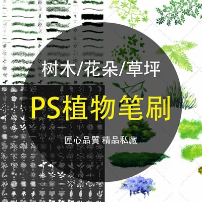 PS植物树木花朵草坪笔刷CG笔触工具花卉树叶环境预设abr/MAC可用