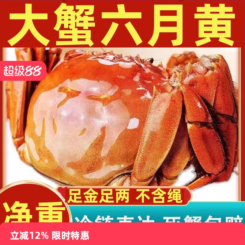 活蟹鲜活大闸蟹螃蟹六月黄产地直发河蟹固城湖清水养殖香辣蟹毛蟹