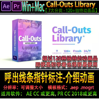 120组 Call Outs 呼出线指针标注文字标题  介绍动画 AE/PR模板