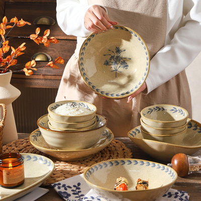 舍里高颜值碗碟组合吃饭碗