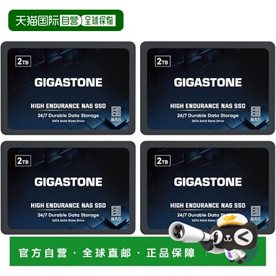 【日本直邮】GIGASTONE 2TB NAS SSD 4枚套装 高耐久 内置 2.5寸