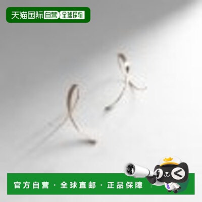 日潮跑腿cocoshnik 平板麻花十字钩耳环  00精致独特配饰