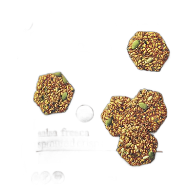 香港直邮Foods Alive,亚麻饼干，墨西哥丰收，4 oz (113 g)脆片