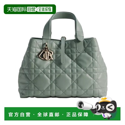1h可退 Dior 中号 Dior Toujours 单肩包 M2821OSNW