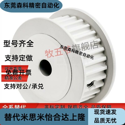 TAAS3M-48-060-P8 P10 P12.7 N12 N14 N15 N16 N17 N19 N20同步轮