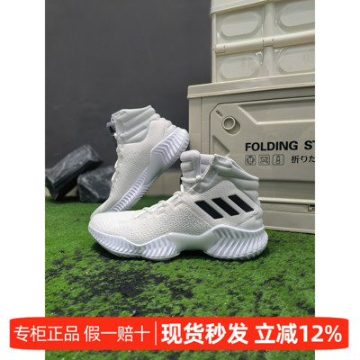 ADIDAS 阿迪达斯 Pro Bounce 2018 场上男子篮球鞋 FW5745