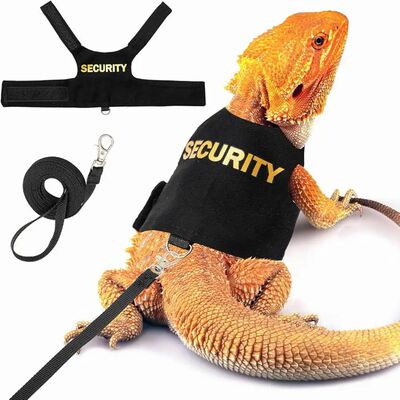 Lizard Leash Harness Soft Padding Reptile Bearded Dragon Ves