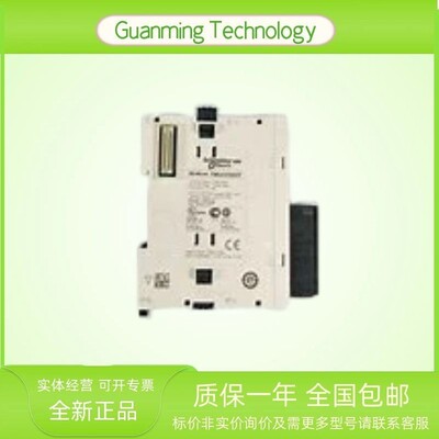 TM2AVO2HT 模块 PLC 法国 SCHNE1DER 模拟输出模块 可编程控制器